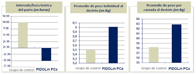 Hipocalcemia subclínica en cerdas: Utilización de pidolato de calcio ...