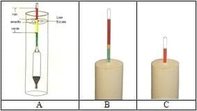 ¿Cómo evaluar la calidad del calostro y la inmunidad de las terneras ...
