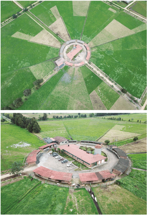 Embalaje y envío de la muestra seminal | Engormix