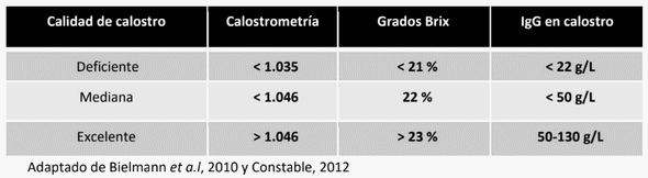Bienestar en becerras: transiciones desde el periodo perinatal hasta el ...