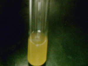 Determinación de coliformes totales y fecales en sistemas rurales de ...