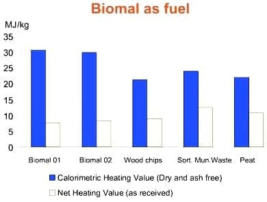 ¿Cómo sería el mundo sin el reciclaje de los subproductos de origen ...