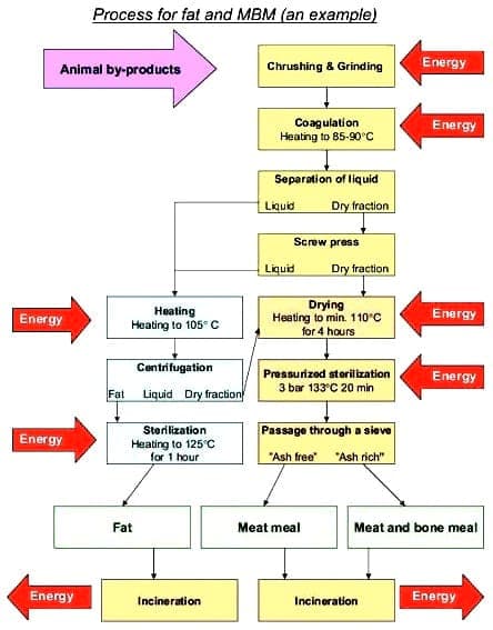¿Cómo sería el mundo sin el reciclaje de los subproductos de origen ...