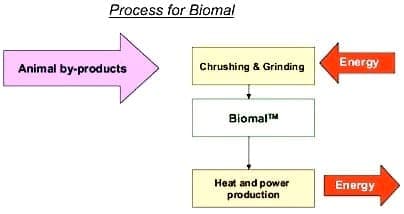 ¿Cómo sería el mundo sin el reciclaje de los subproductos de origen ...
