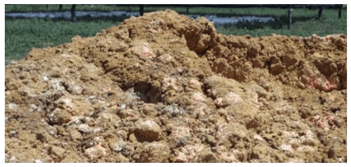 Análisis económico de la utilización de burlanda húmeda de maíz ...