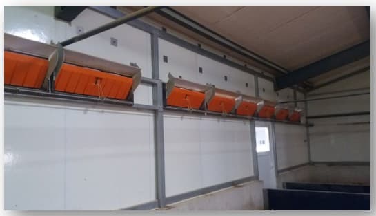 Decálogo de transición de lechones | Engormix