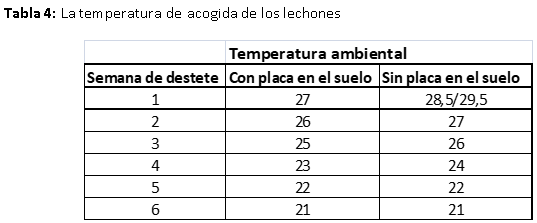 Decálogo de transición de lechones | Engormix