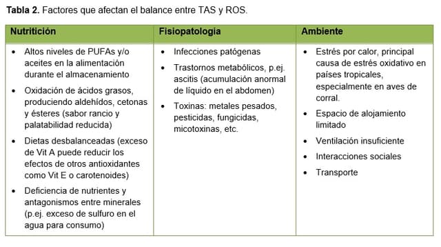 Combatiendo el Estrés Oxidativo... | Engormix