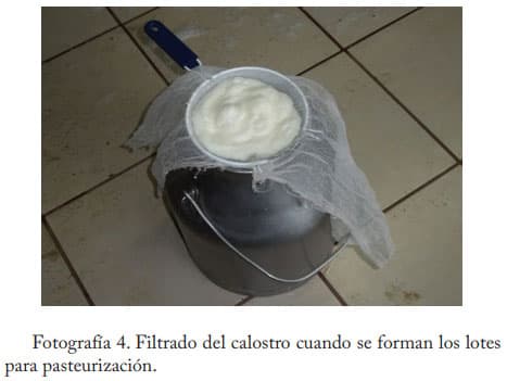 Pasteurización del calostro | Engormix