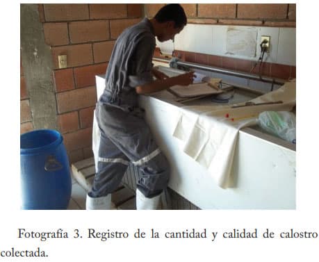 Pasteurización del calostro | Engormix