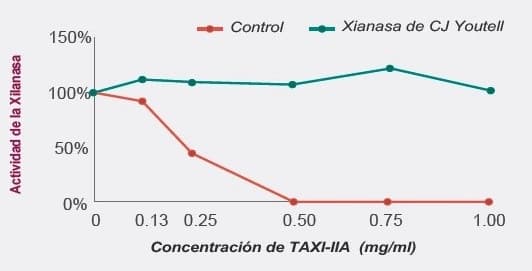 Importancia de la xilanasa en los alimentos balanceados para animales ...