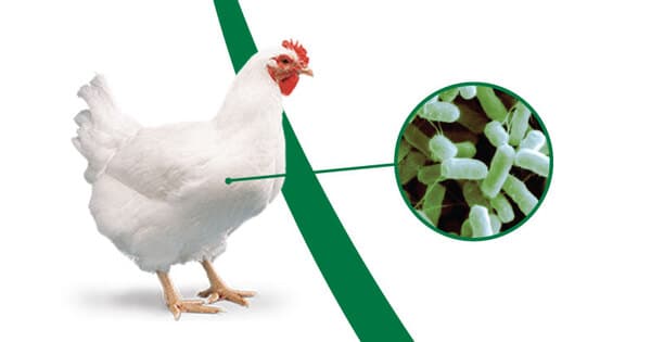 Multirresistencia bacteriana: qué es y cómo evitarla en beneficio de la ...