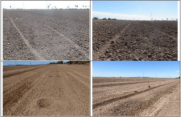 Nivelación de un terreno agrícola para frutales.. Demostración gráfica ...