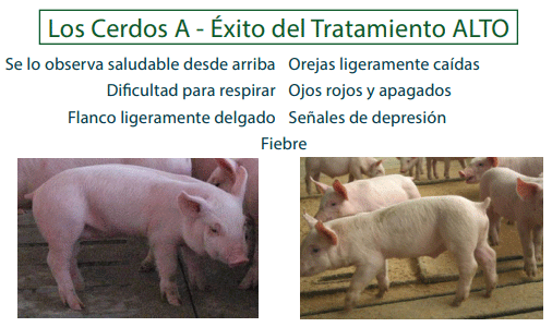 El Cuidado Individual de Cerdos (CIC) y La Detección Temprana de Cerdos ...