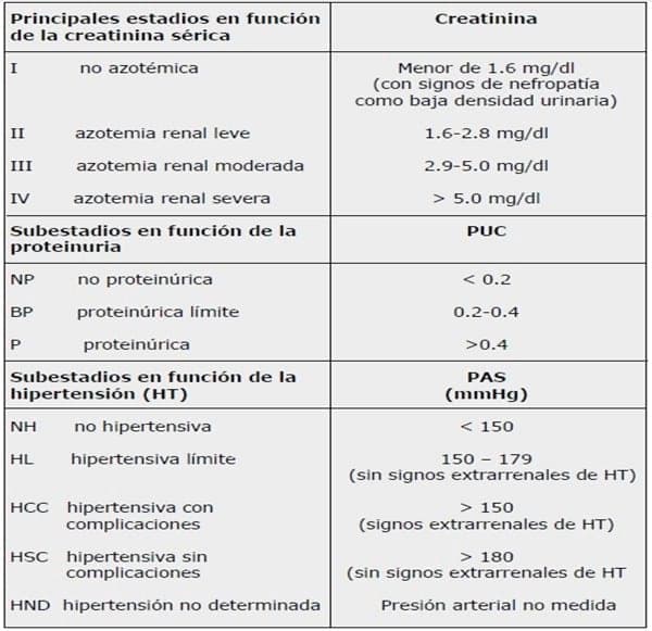 Determinación del nivel de kalemia en felinos con fallo renal crónico ...