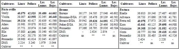 Evaluación productiva de cultivares de pasto ovillo (Dactylis Glomerata ...