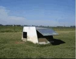 Diseño de las parideras, época y número de partos: efectos sobre la productividad de las cerdas ...