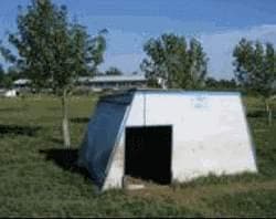 Diseño de las parideras, época y número de partos: efectos sobre la productividad de las cerdas ...