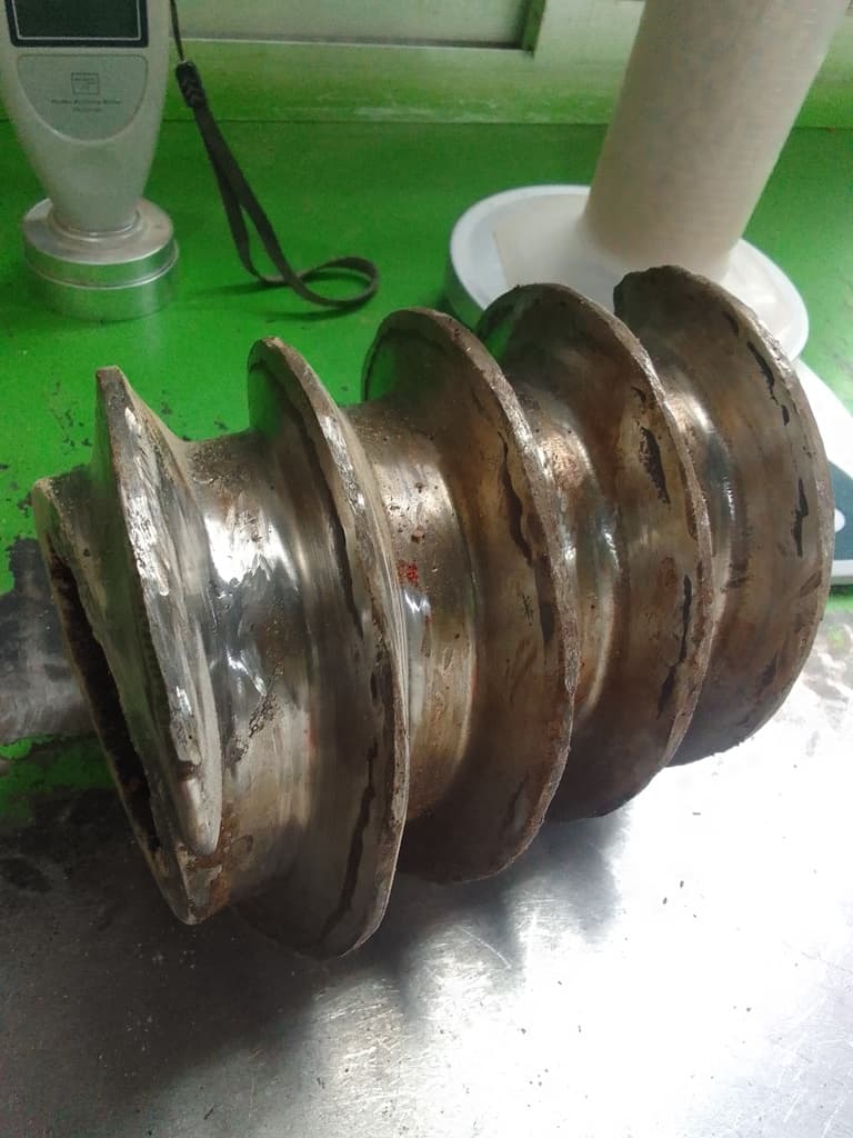 Tornillos helicoidales para extrusion de balanceado. | Engormix