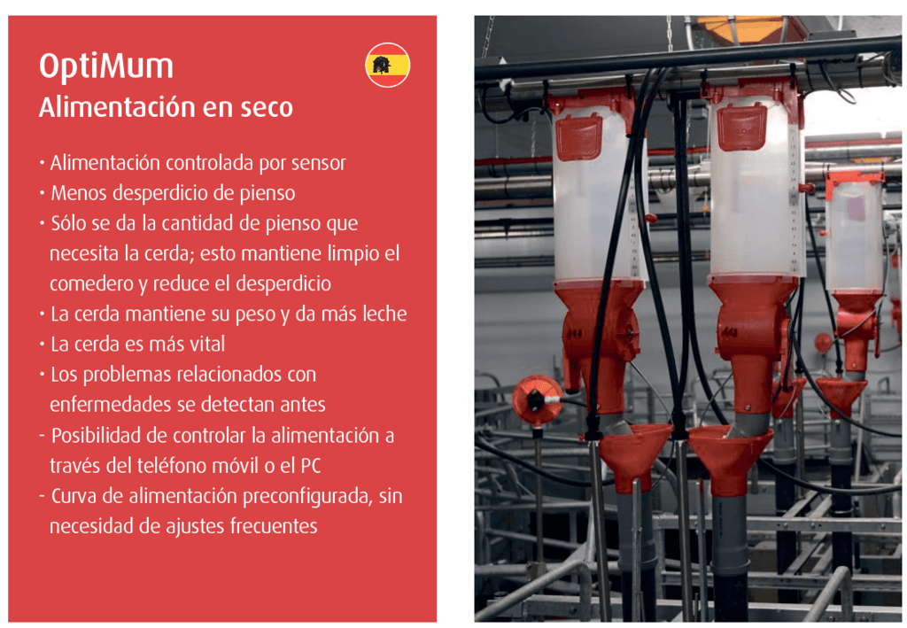 Los retos de alimentación con más desafíos en la producción porcina | Engormix