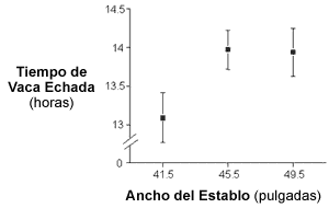Dimensiones de establo correctas para sus vacas