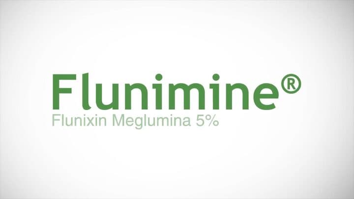 Linfangitis ulcerativa | Engormix