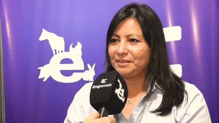 Pollito BB: Manejo en la 1ª semana | Engormix