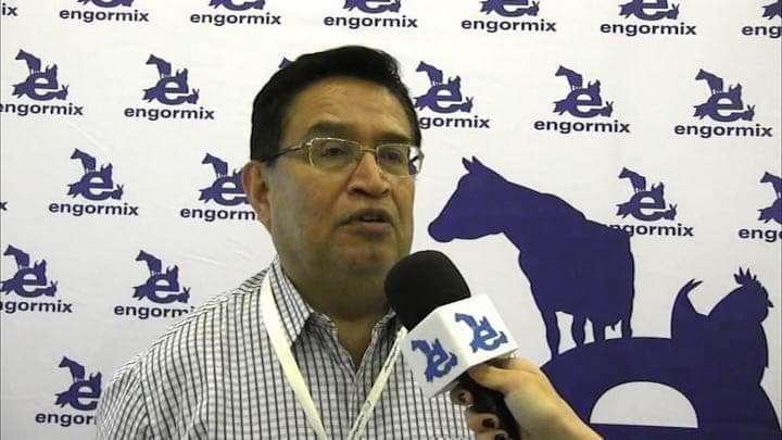 Elaboración de bloques minerales y multinutricionales | Engormix