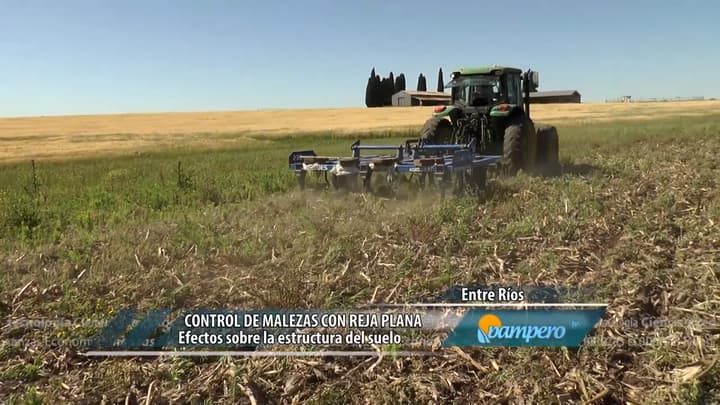 Labranza cero | Engormix