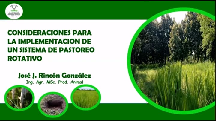 Efectos nutricionales de los minerales en los forrajes | Engormix