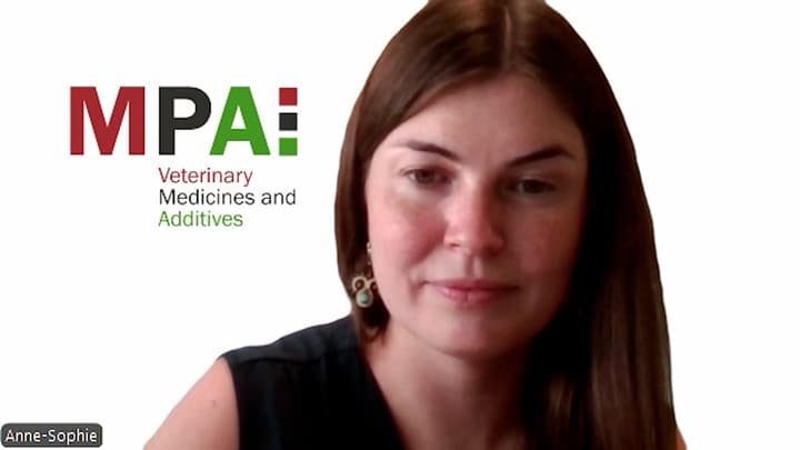 Fitogénicos con efecto anticoccidial en ponedoras | Engormix