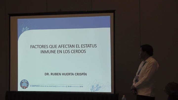 Factores que afectan el estatus inmune en los cerdos | Engormix