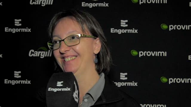 La producción de maíz y el negocio porcino | Engormix