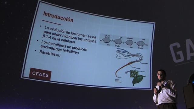 Análisis del líquido ruminal como ayuda diagnóstica en alteraciones en ...