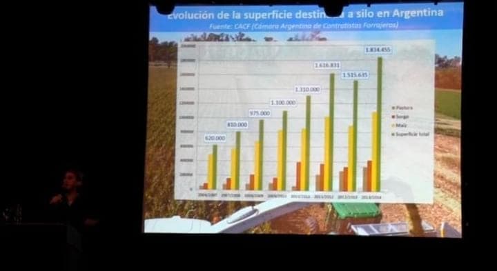 Opciones para la utilización del maní forrajero perenne (Arachis pintoi ...